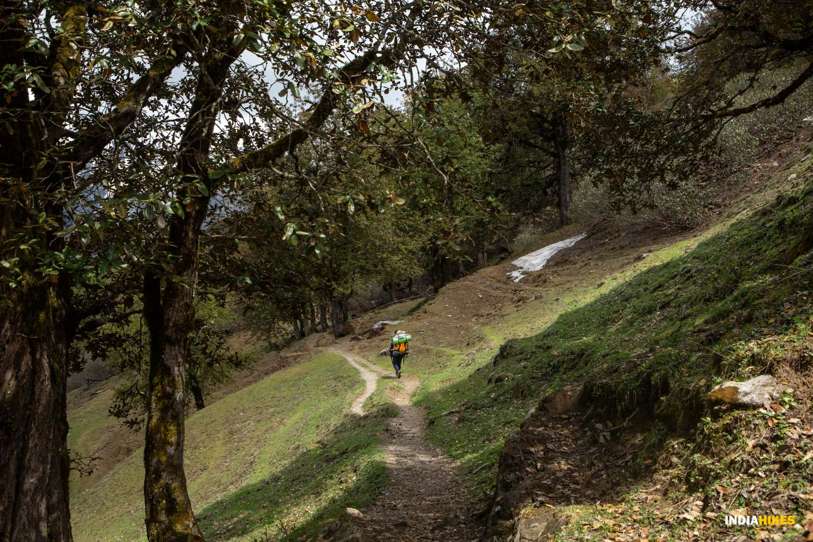Chandrakhani Pass Trek 2023 - Treks In Himachal Pradesh - Indiahikes