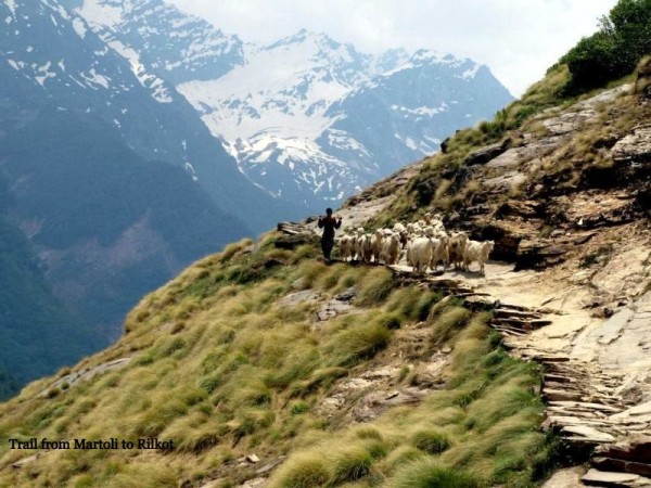 Nanda Devi Base Camp Trek