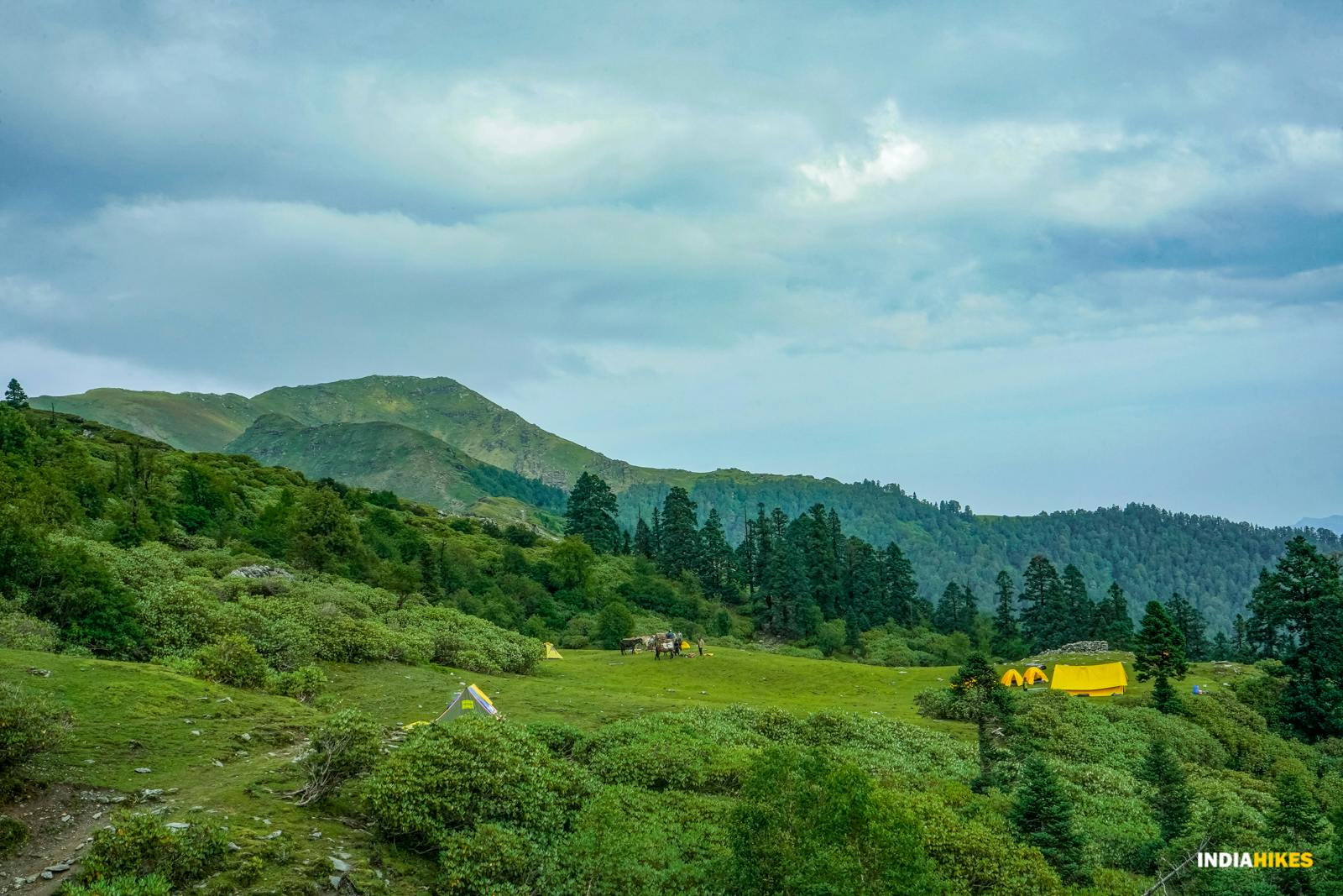 Phulara Ridge Trek 2023 - Trekking in Uttarakhand - Indiahikes