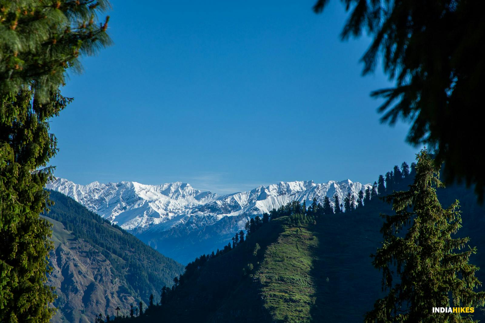 Chandrakhani Pass Trek 2023 - Treks In Himachal Pradesh - Indiahikes