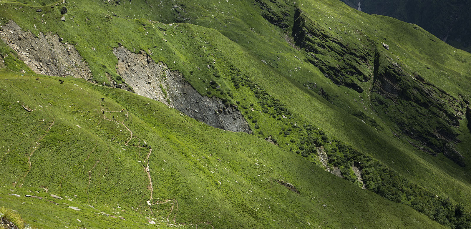 Beas Kund Trek 2022 - Himachal Pradesh Treks - Indiahikes