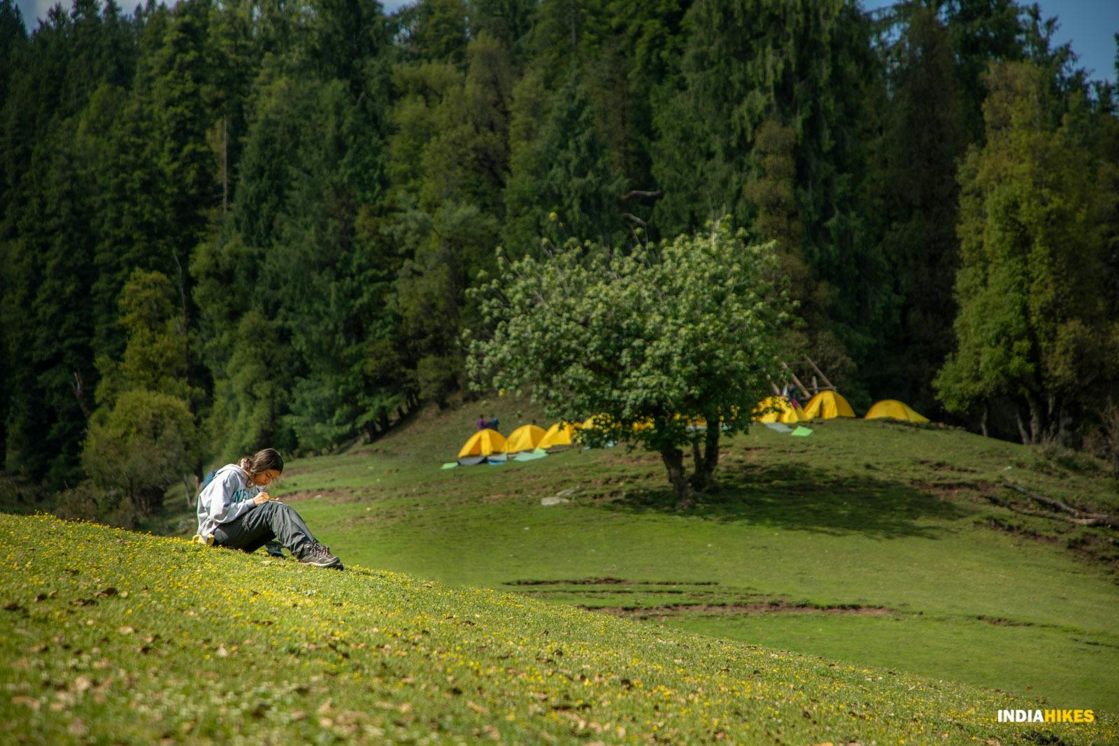 Phulara Ridge Trek 2023 - Trekking in Uttarakhand - Indiahikes