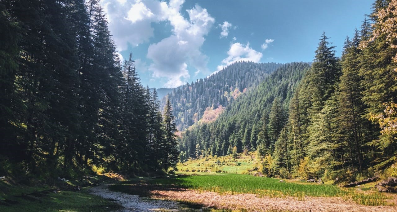 Churdhar Peak Trek