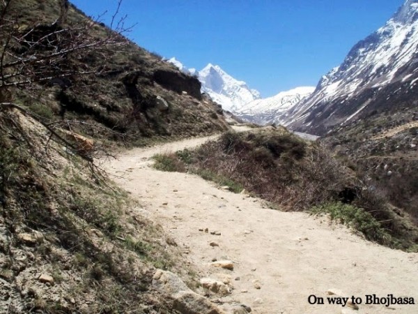 Tapovan Nandanvan Trek