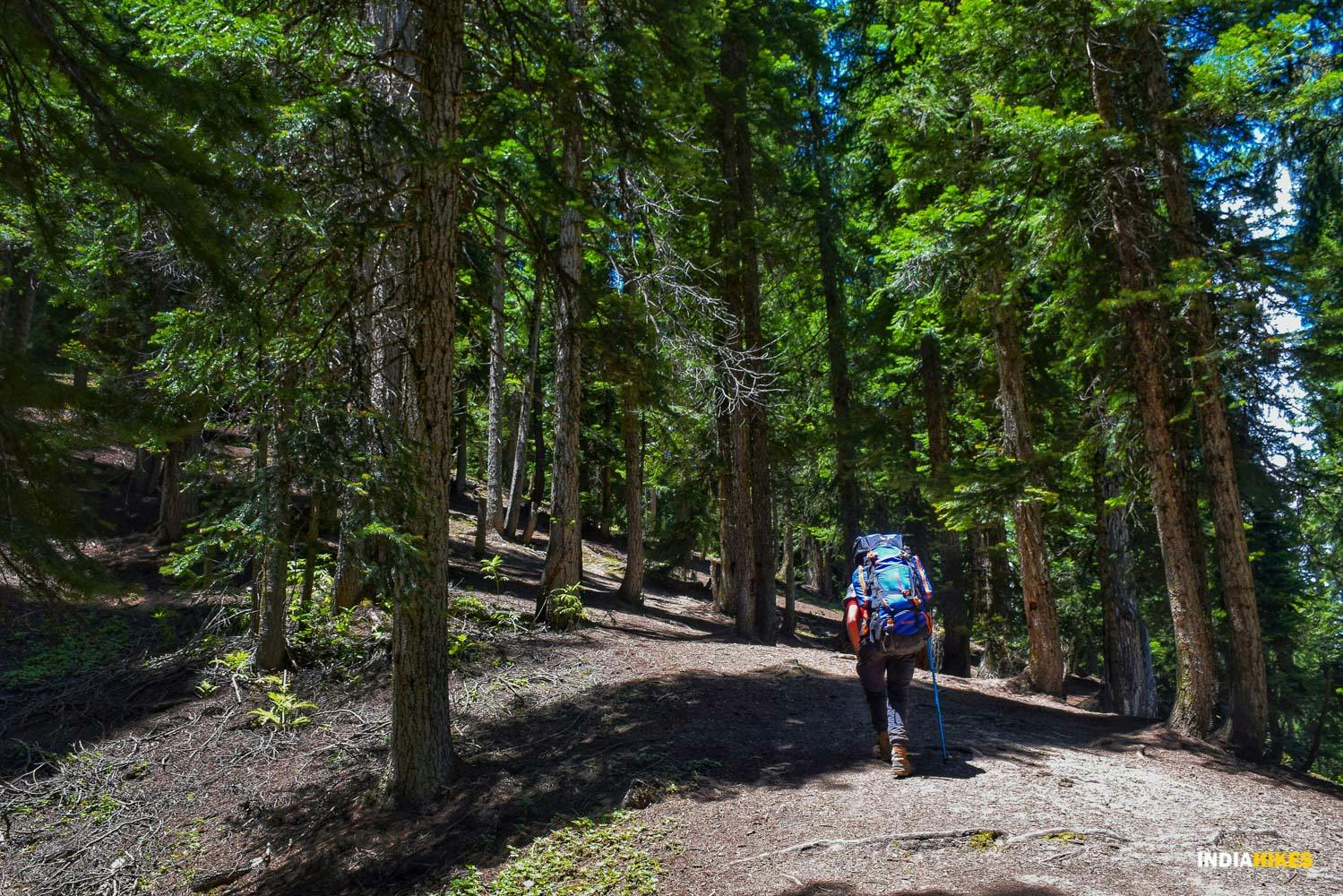 Gurez Valley Trek - 2023 - Itinerary, Cost, Trek And Travel Planning