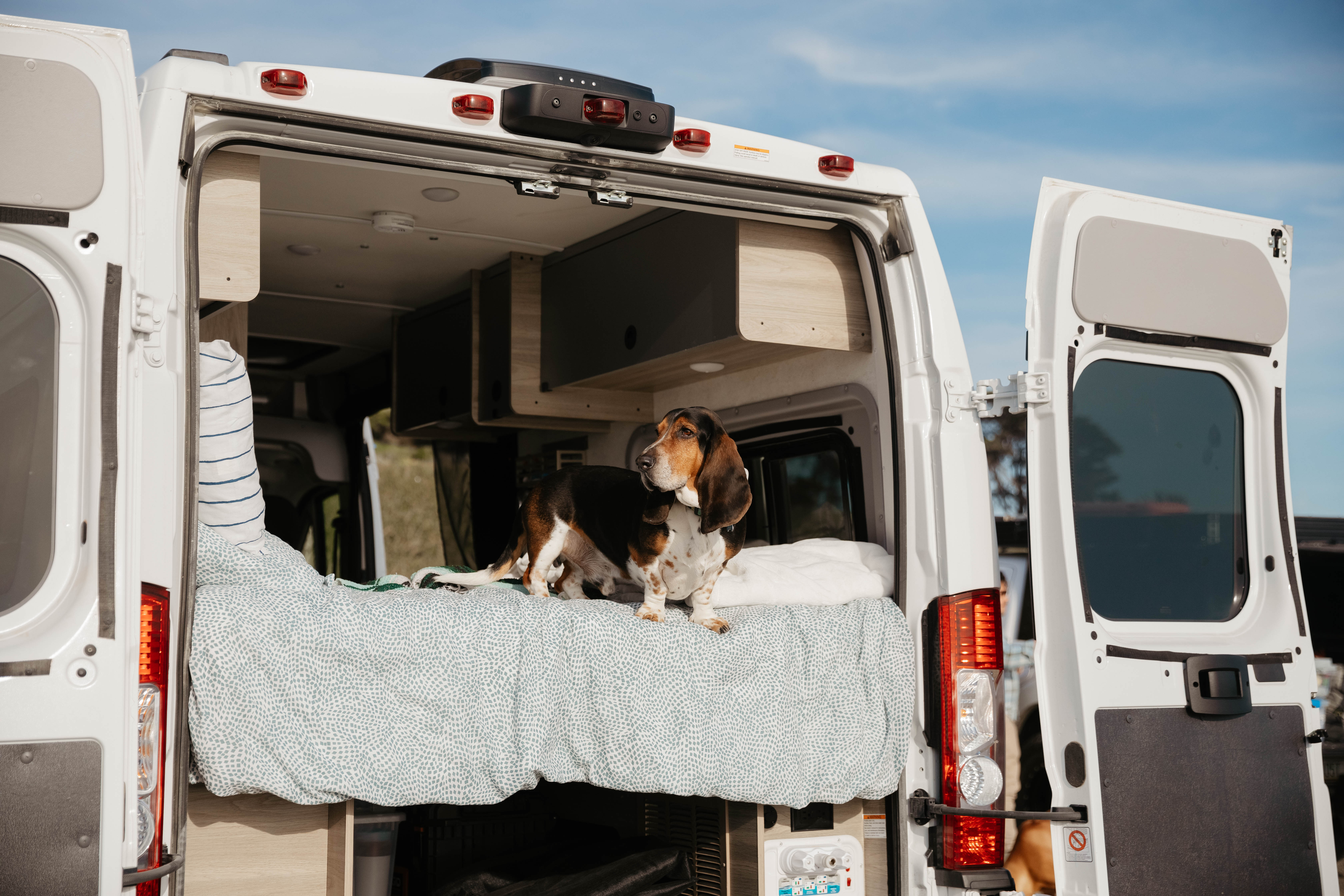 Dog-Friendly RV Rentals | Pet Friendly Motorhome Hire