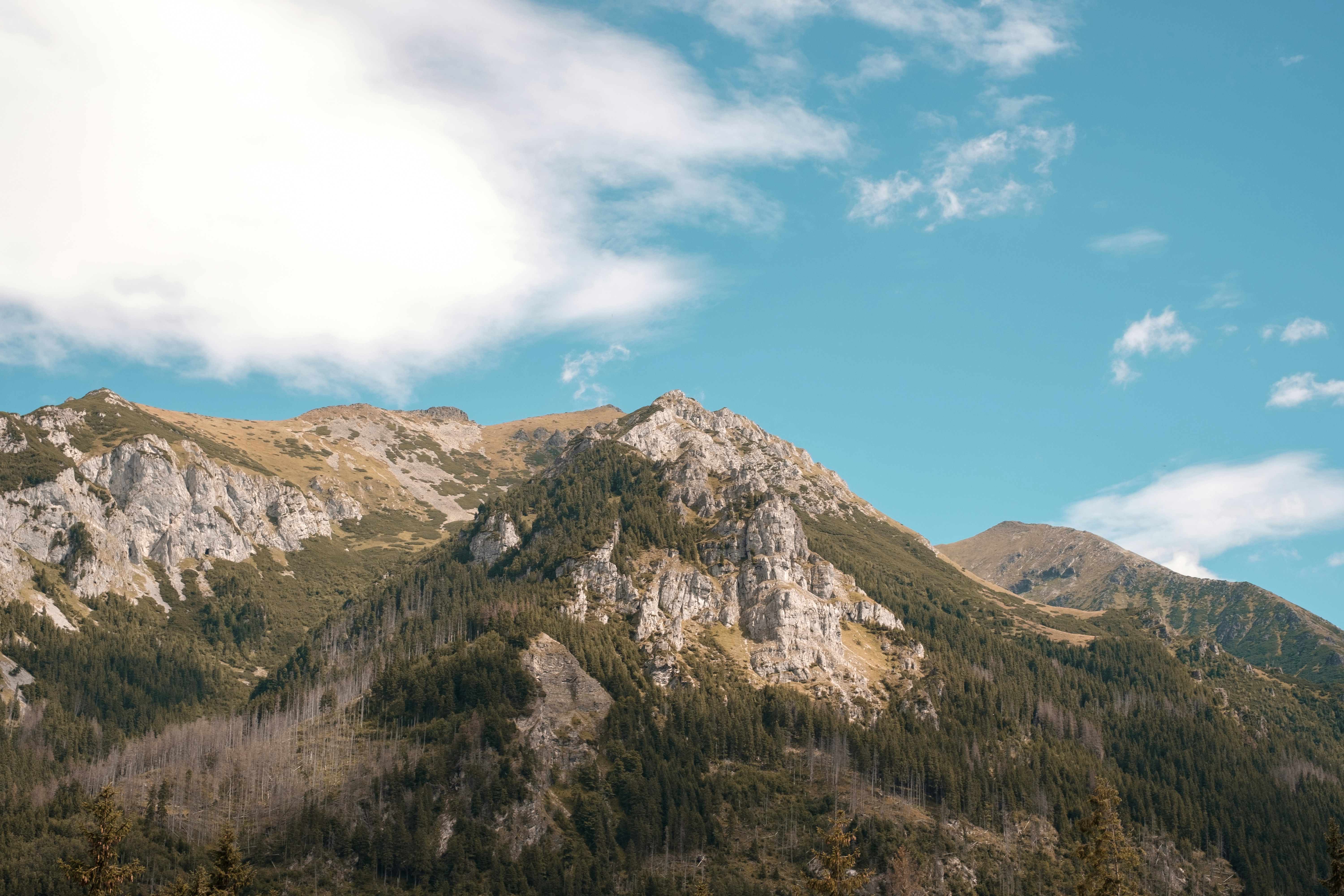 Hyra husbil i Masovian Voivodeship | Indie Campers