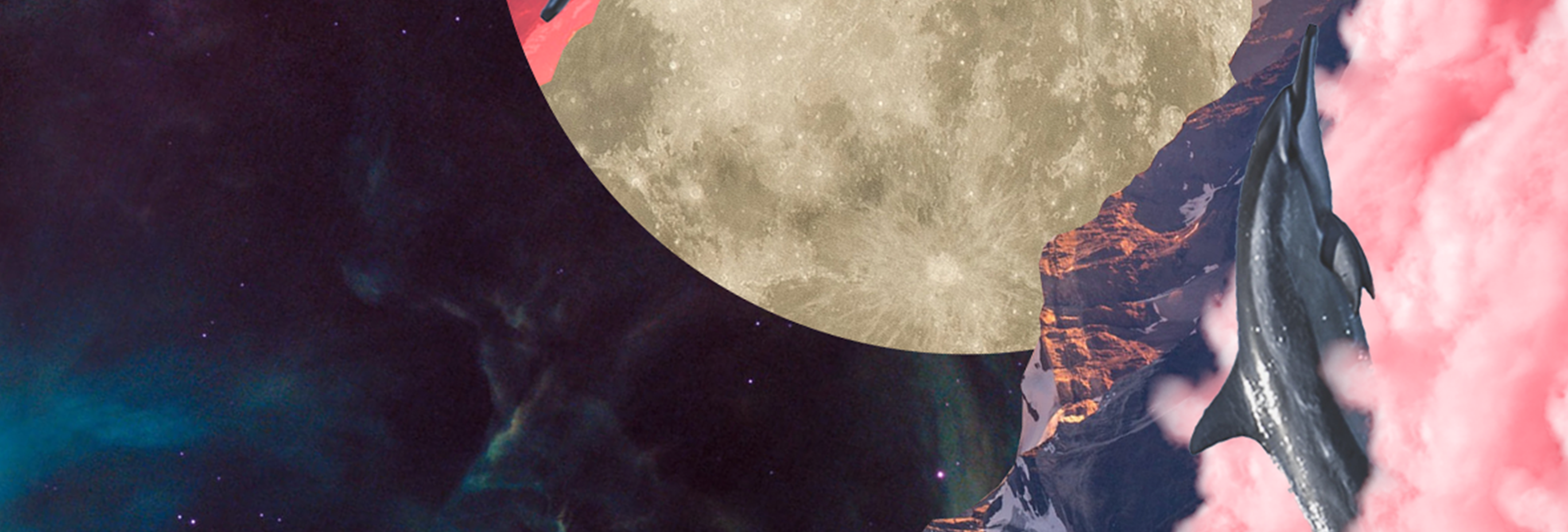 Content Hub | Ingenuity London