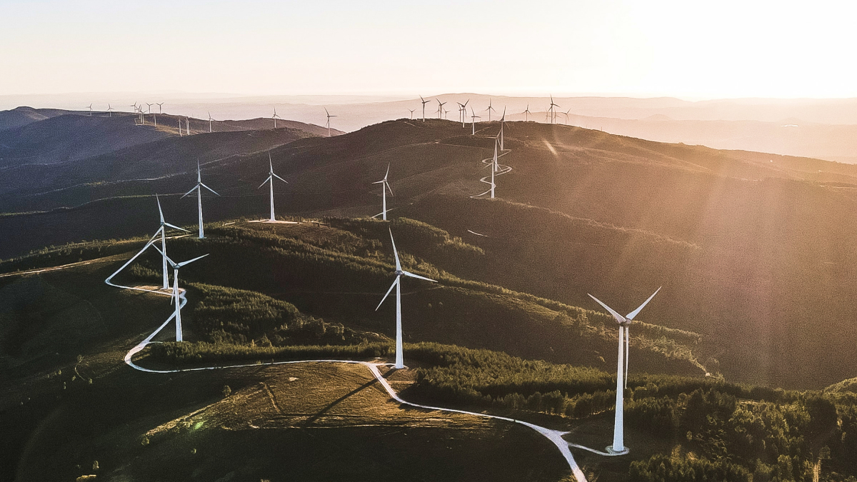 5 Wins for Climate Change & Renewable Energy That Happened in 2021 ...