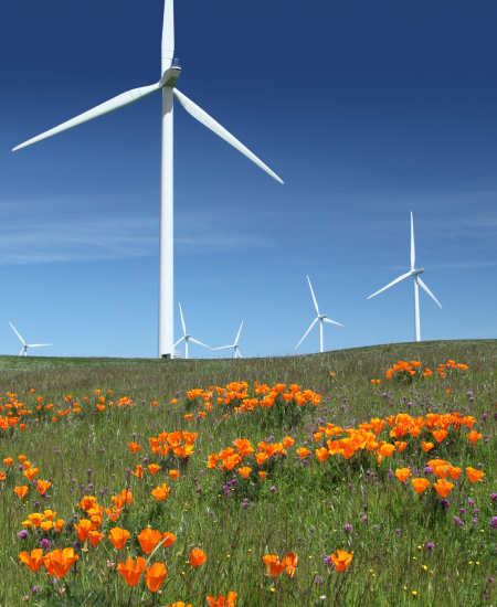 Impact | Inspire Clean Energy