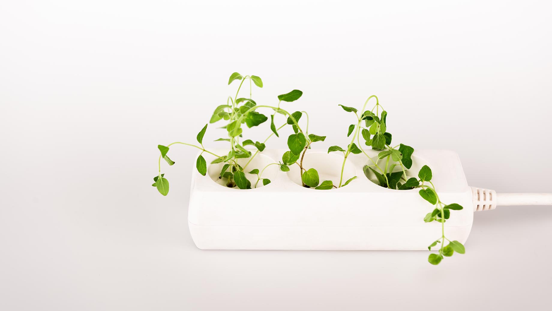 Clean Electricity: How clean is my electricity? | Inspire | Inspire ...