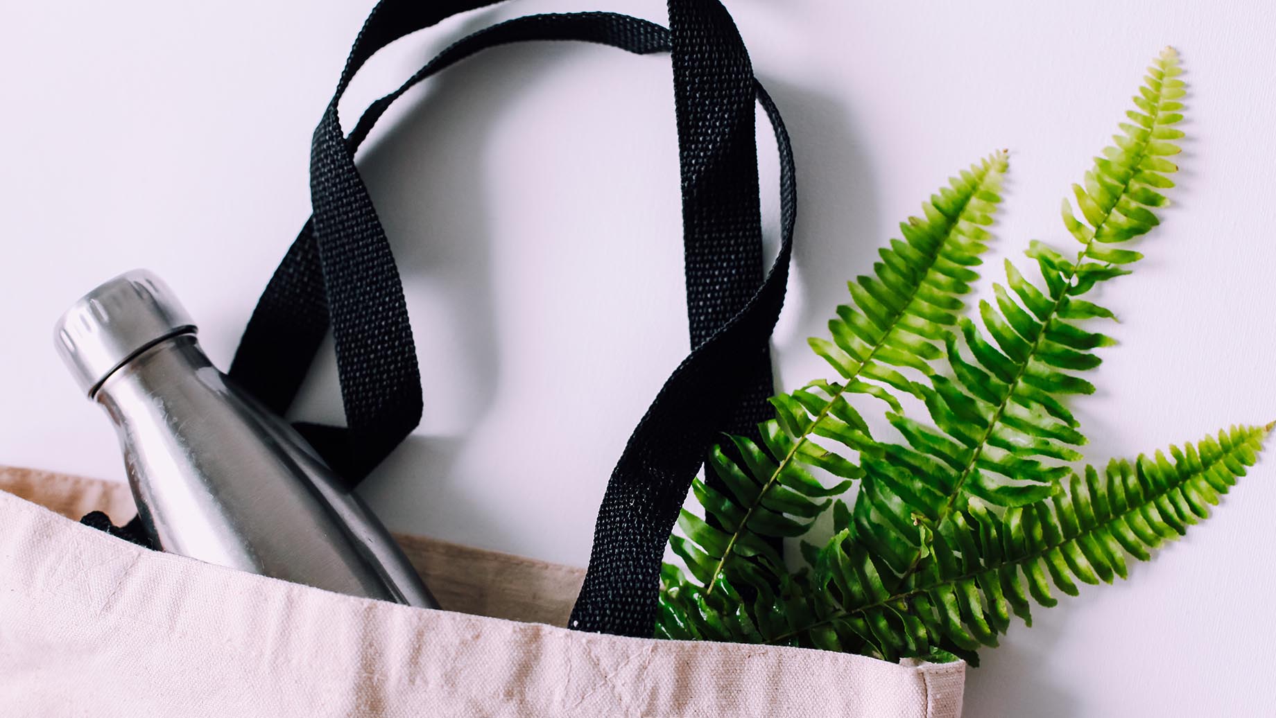 How to Live Sustainably: Easy Ways to Go Green Everyday | Inspire Clean ...