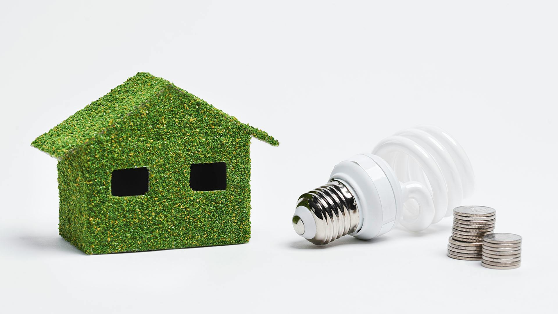 Renewable Things At Home