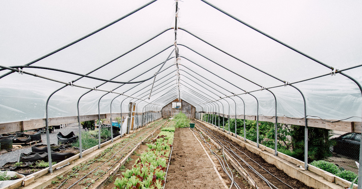 How Urban Farming is Transforming Cities like Philadelphia | Inspire ...