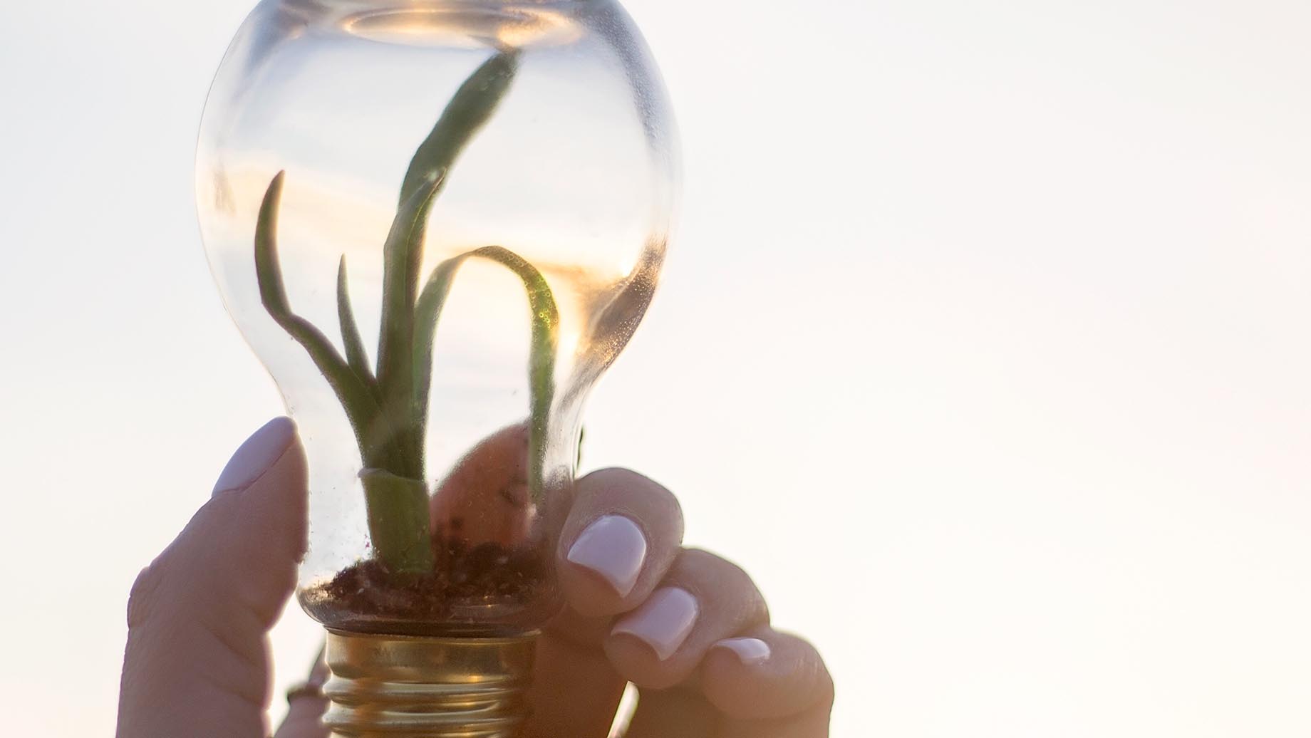 What is Sustainable Energy: Sources, Definition & Examples | Inspire ...