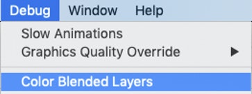 The Ultimate Guide to iPhone/iOS Mobile App Development | Intuz
