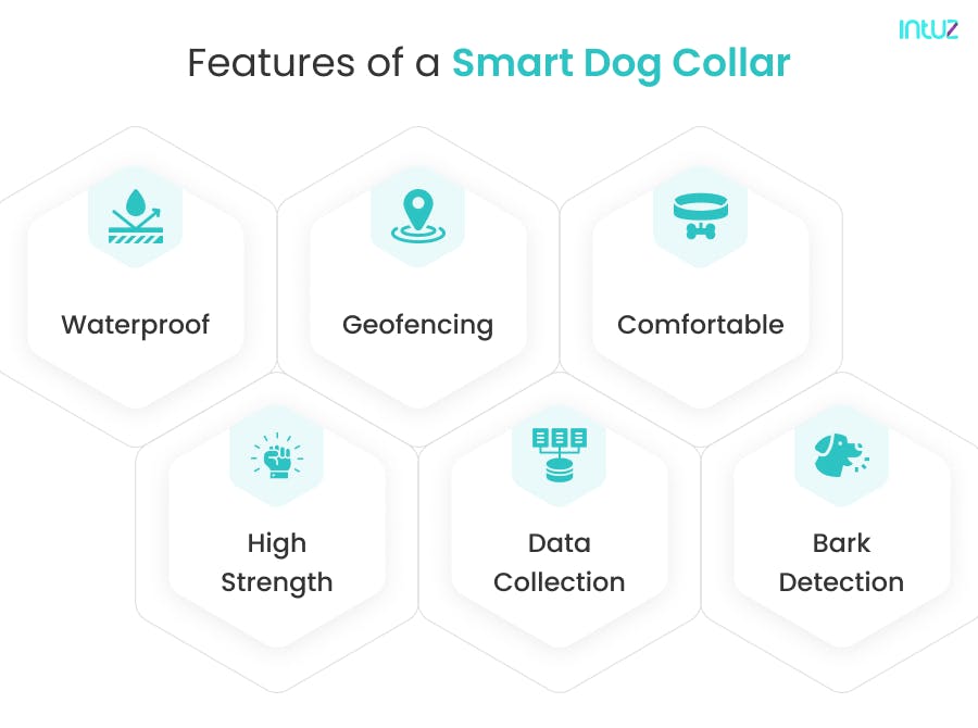 Smart Dog Collars: IoT Innovations for Manufacturers