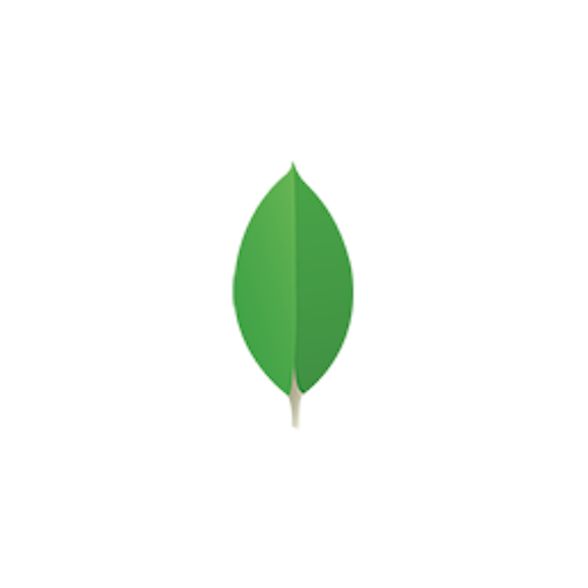 Mongodb Leaf