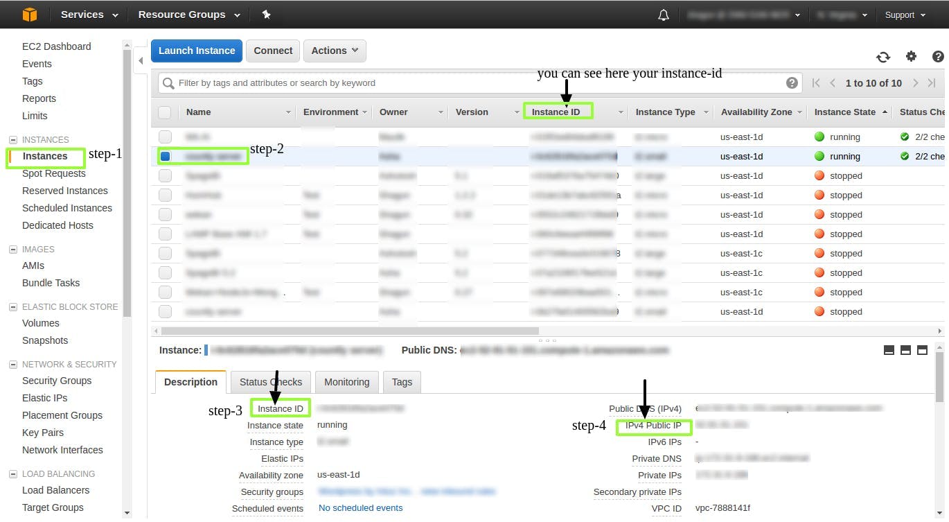 How to find your Instance-id and Public-ip of AWS AMI | Intuz
