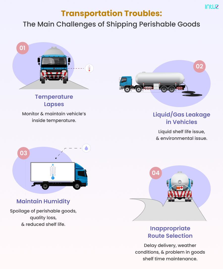 IoT To Improve The Efficiency Of Perishable Goods Transportation