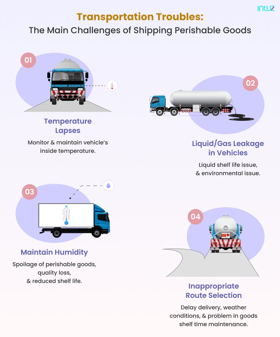 IoT To Improve The Efficiency Of Perishable Goods Transportation
