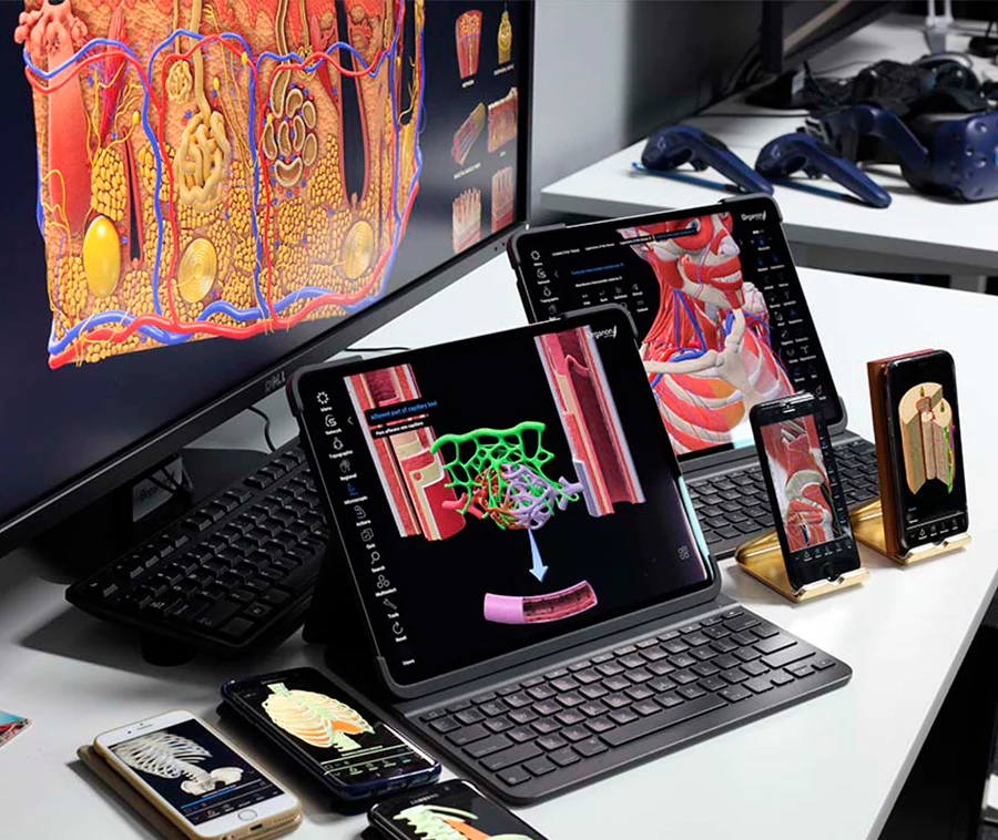 Cómo estudiar anatomía humana: Realidad Virtual en 3D | Aulas Ateca