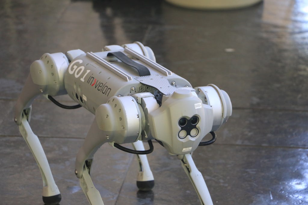 Unitree Robotics | Quadruped robots | Invelon Technologies