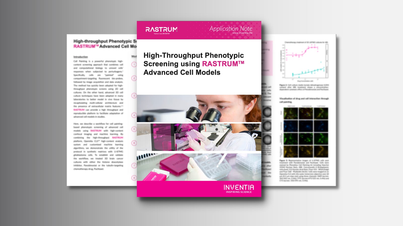 High-throughput phenotypic screening in 3D cell models
