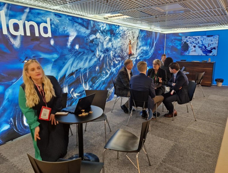 Metþátttaka Íslands á fjárfestingastefnu í Cannes