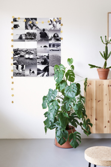 IXXI Fotoproducten - Foto Collage, fotovergroting, kalender, refill - IXXI