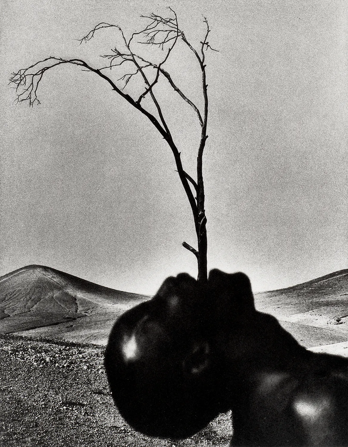 Jack Davison