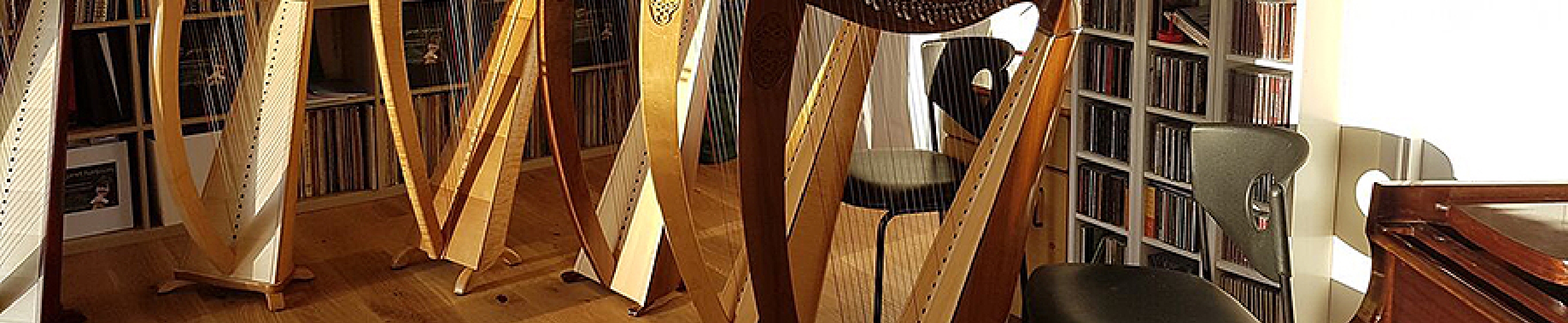 Beginner Harp Days - Beginner 1 Day Harp Workshop | Janet Harbison