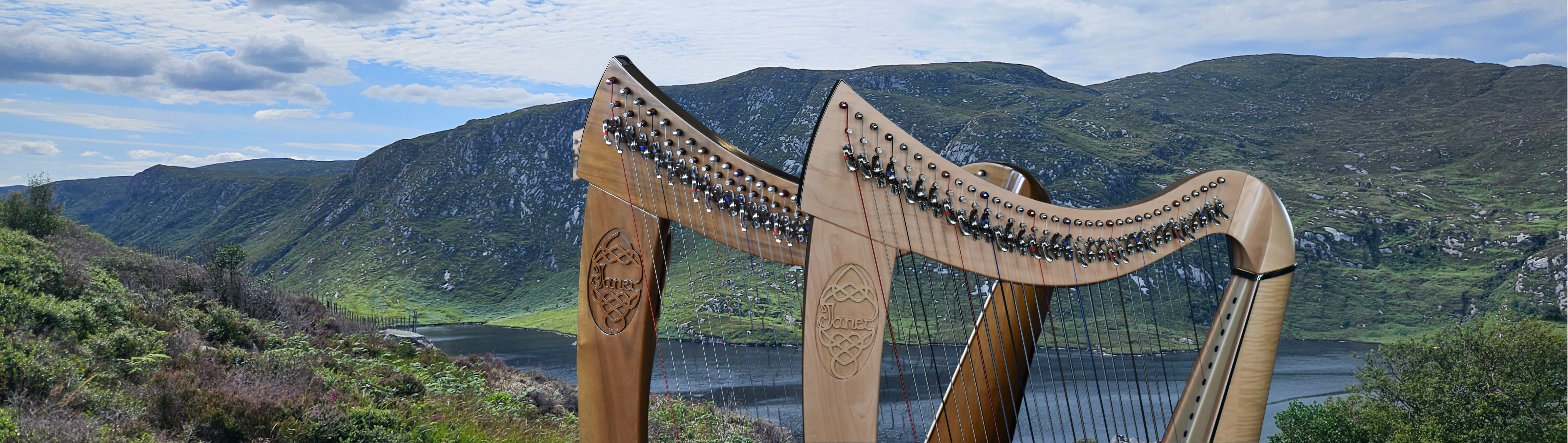 Donegal Ireland Harp Summer Schools | Janet Harbison