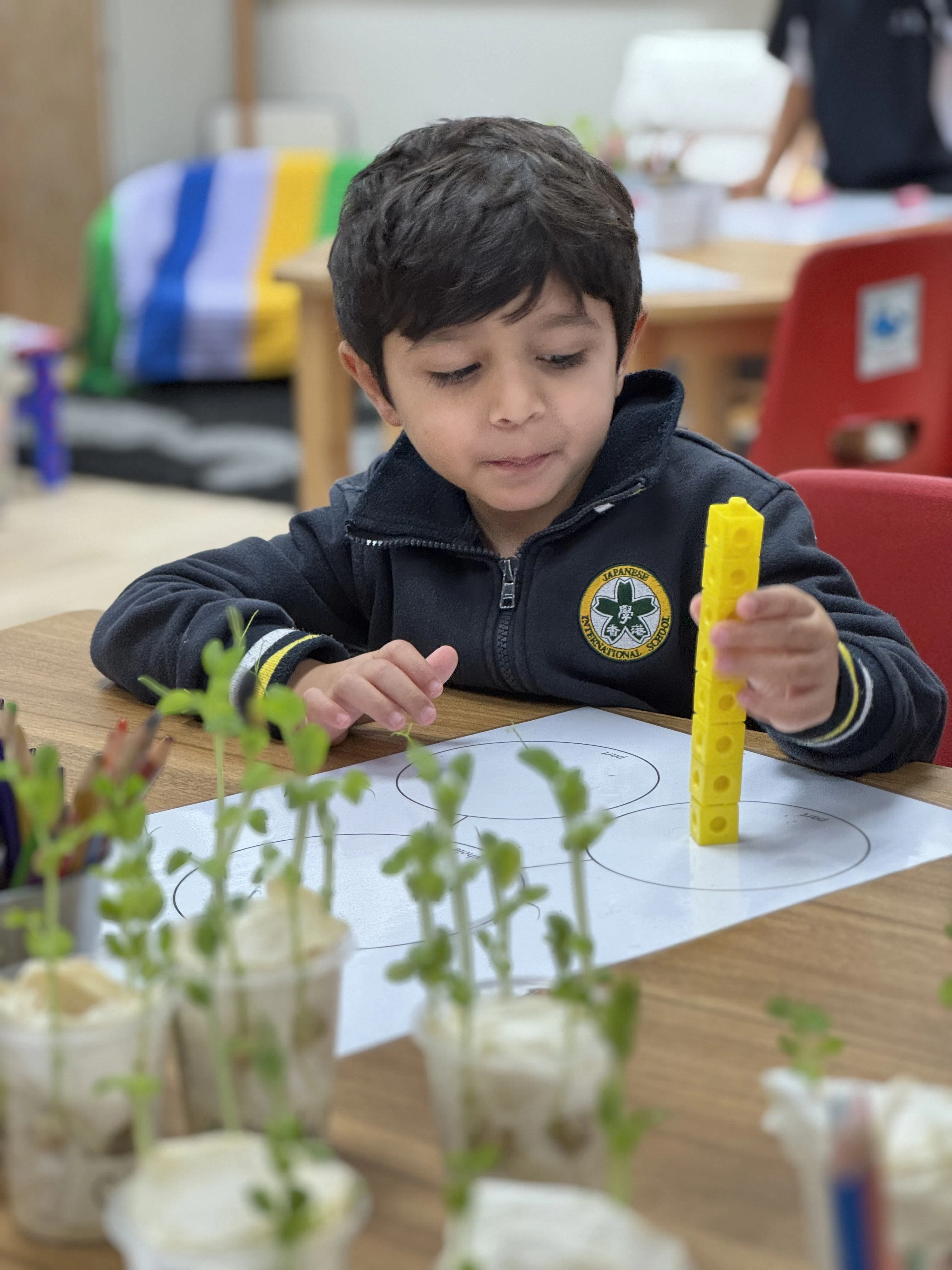 Mathematics | Japanese International School