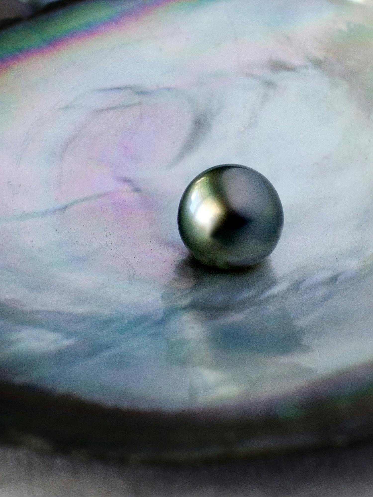 La perle et la nacre des Fidji | JEM, joaillerie éthique française