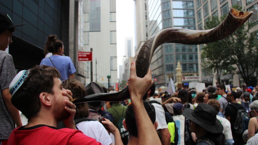 Jewish Earth Alliance