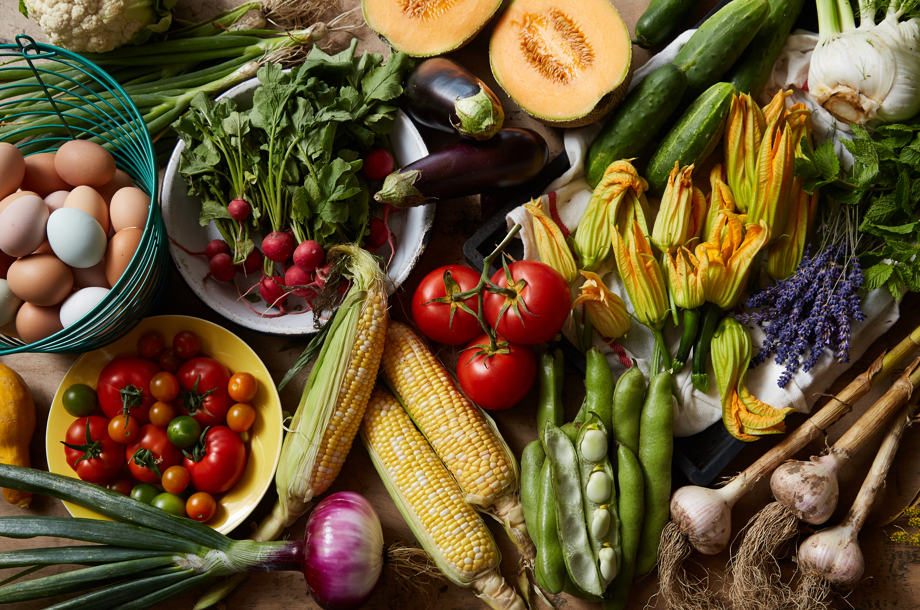 Jewish Food Society: The Home of Jewish Food — Jewish Food Society