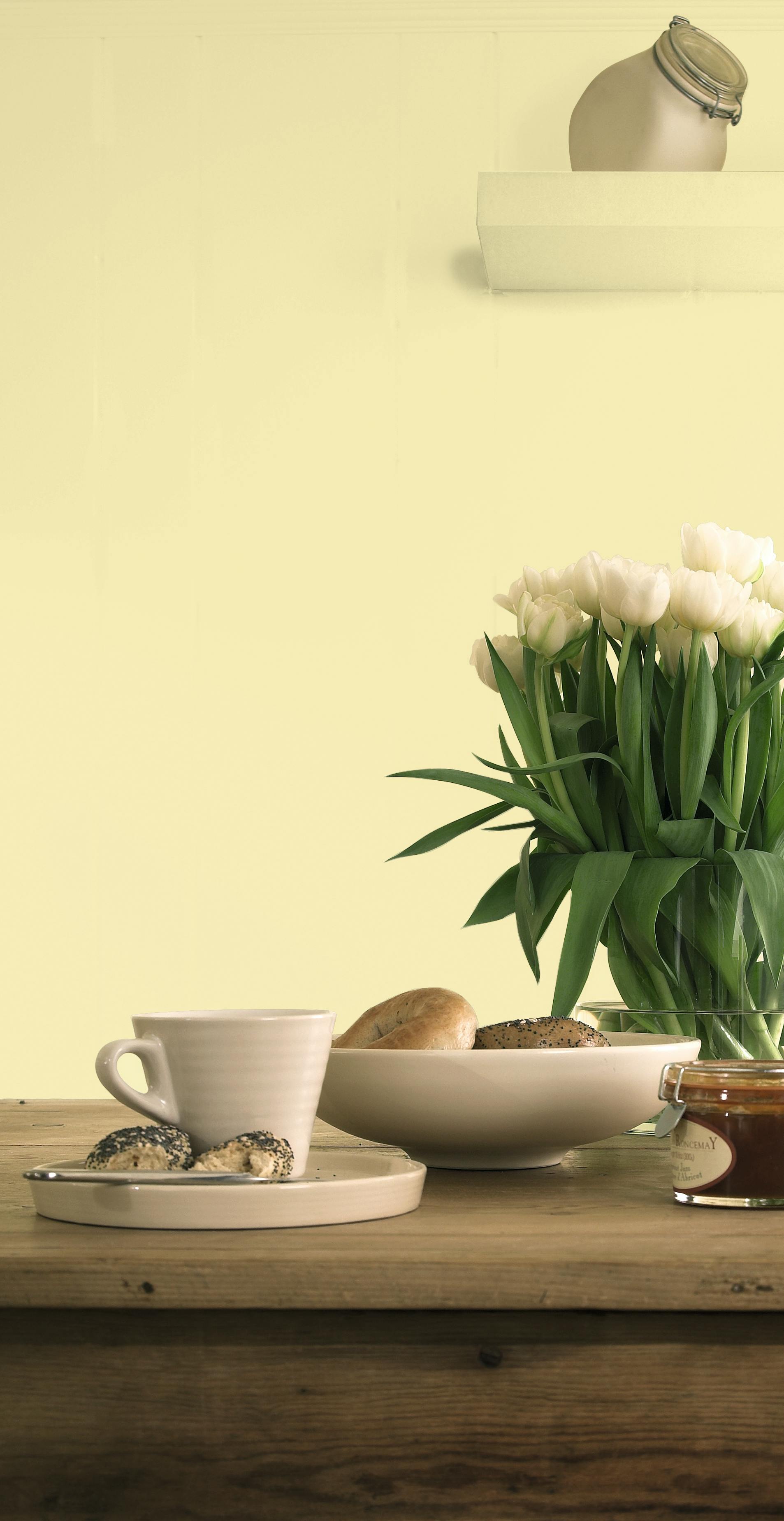 Yellow Colour Palette | Interior & Exterior Paint - Johnstone’s