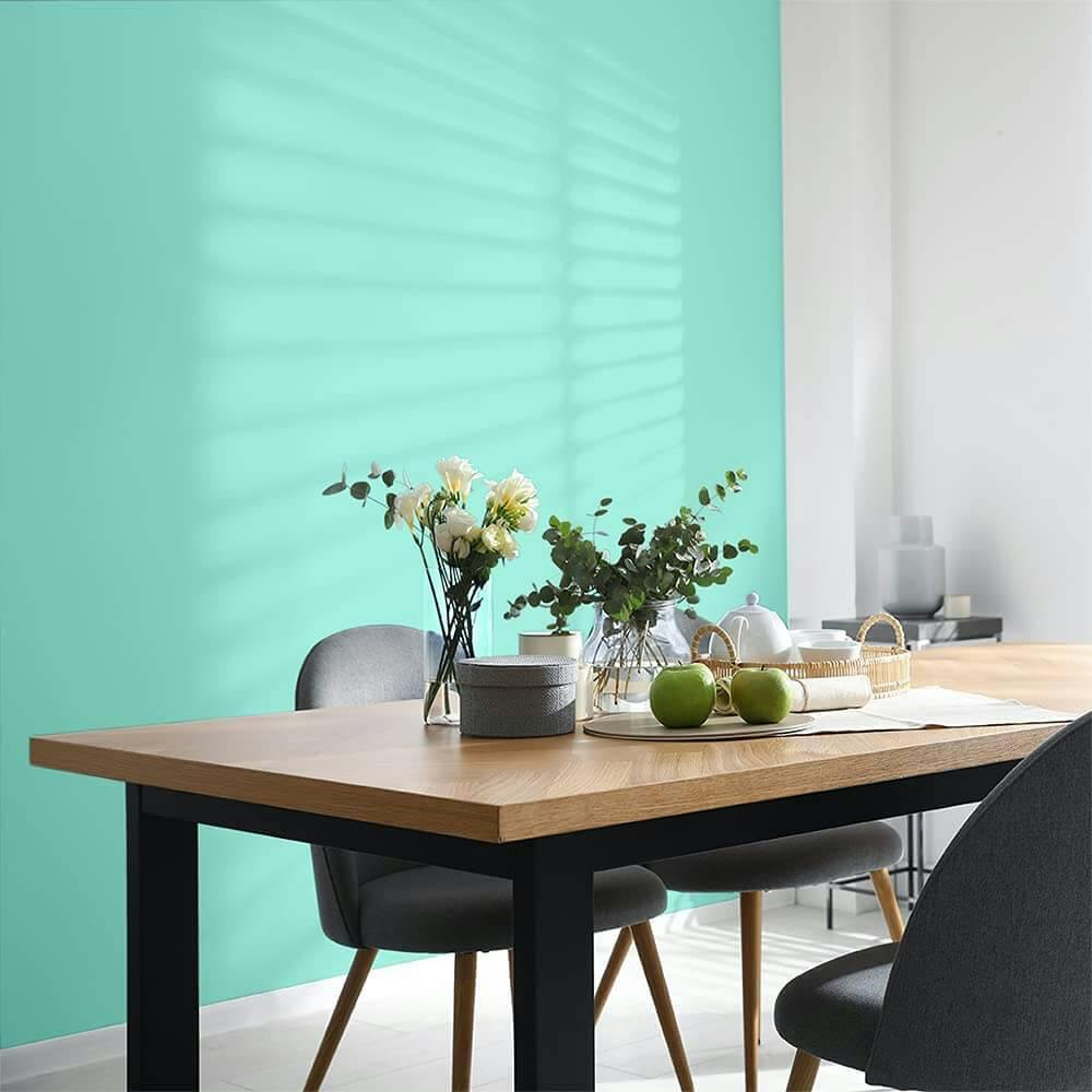 Mint Paint Colours