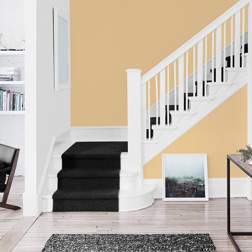 Warm Hallway Paint Colours