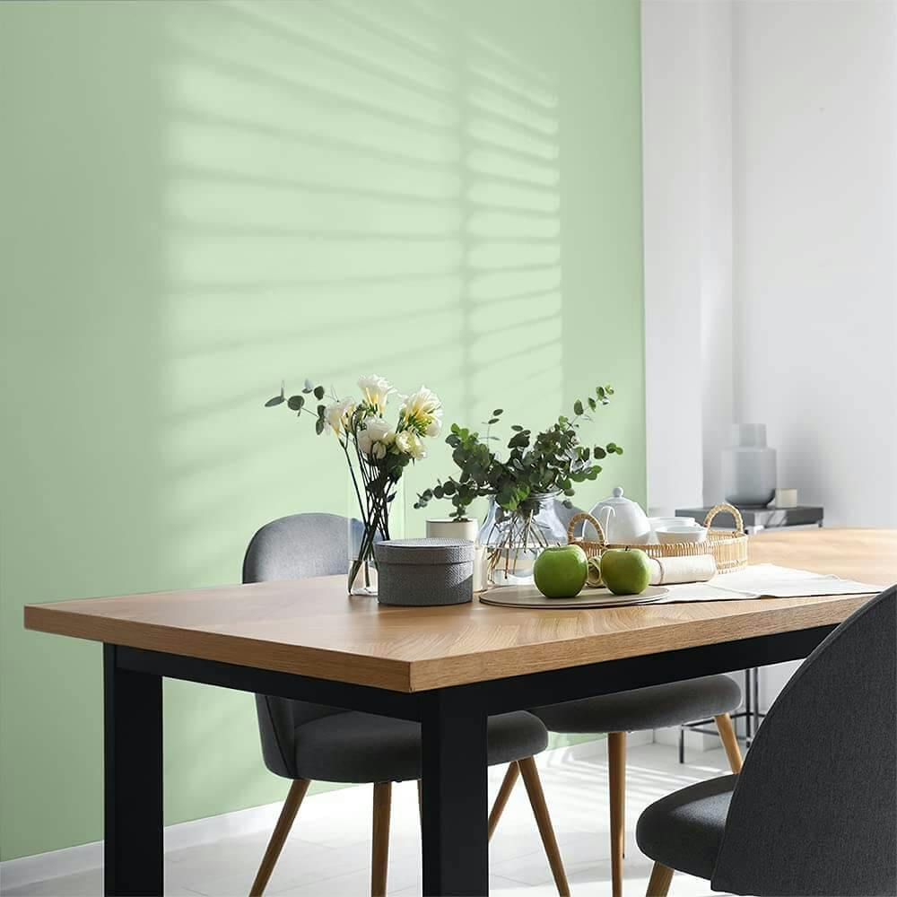 Pale Green Paint Colours