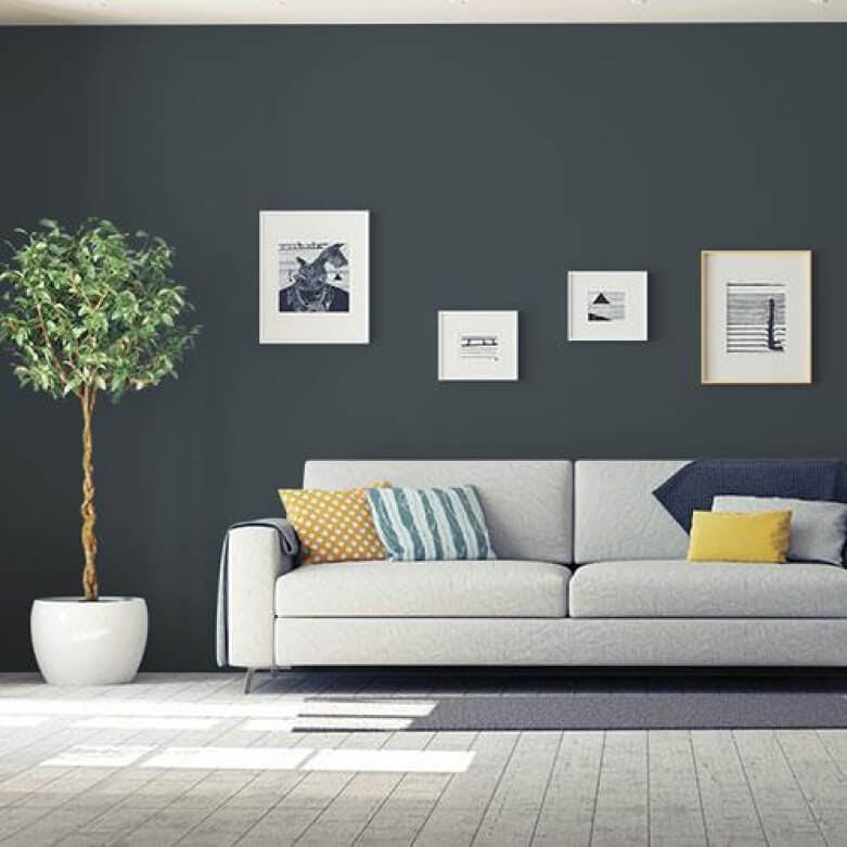 Black Colour Palette | Interior & Exterior Paint - Johnstone’s