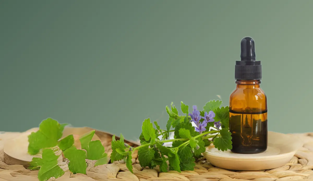 The best tinctures | TINCTURE