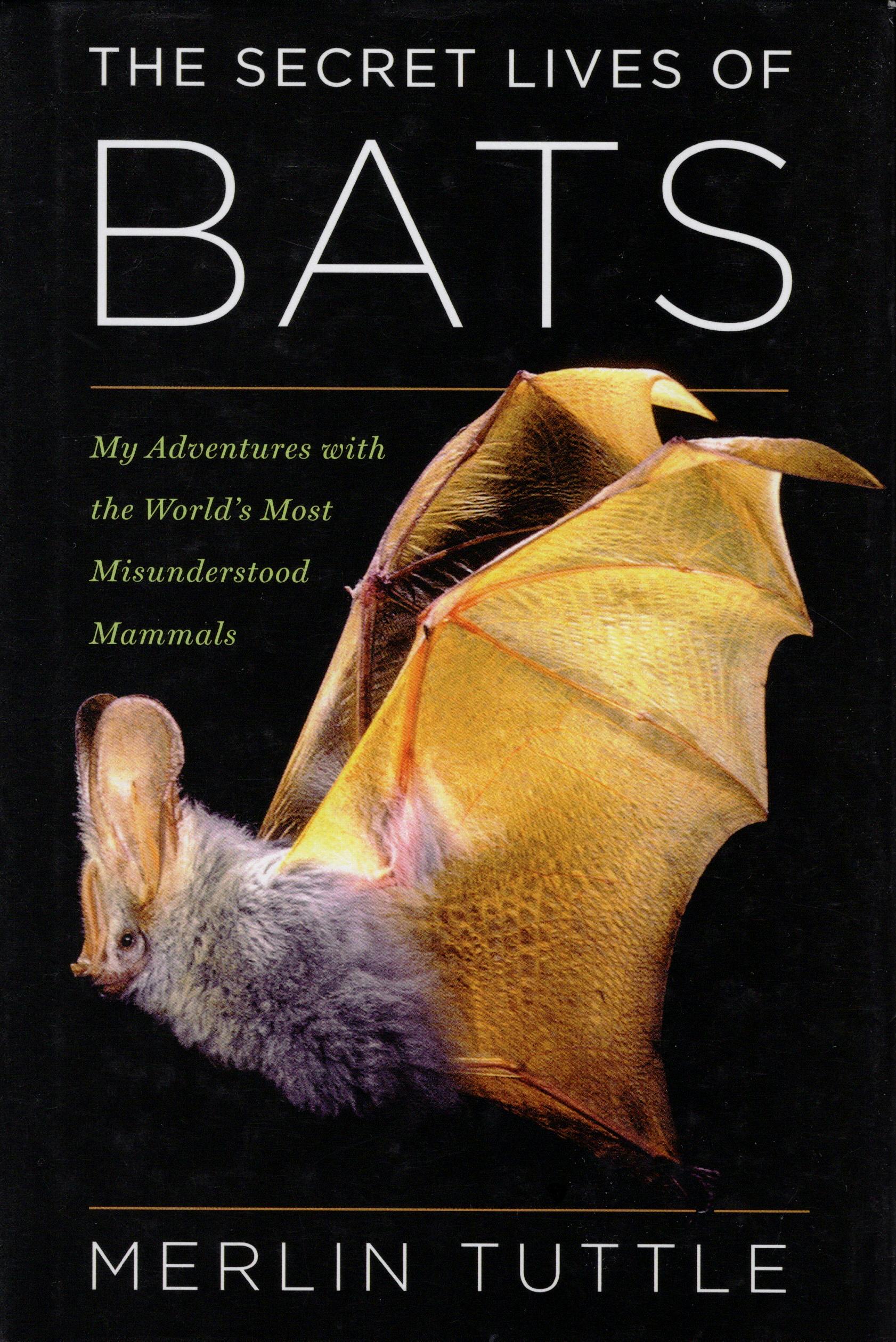 Jay Perry | Bookshelf