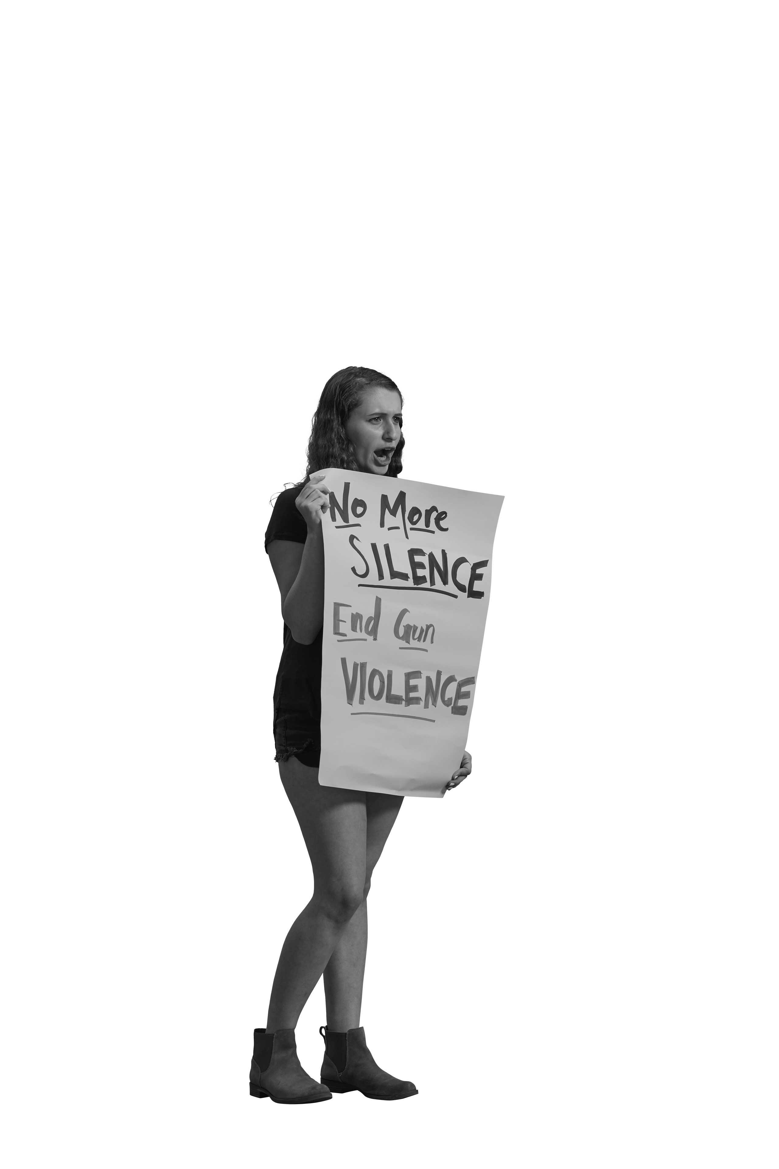 THE GUN CHRONICLES : A STORY OF AMERICA