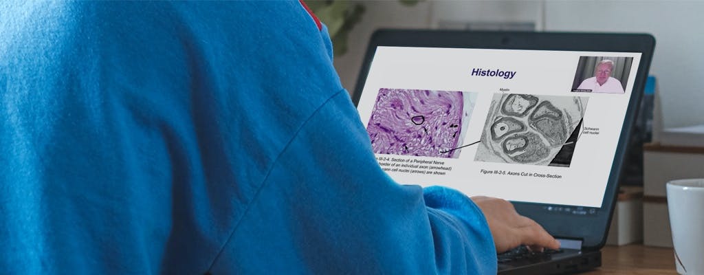 USMLE Step 1 Online Course | Kaplan Test Prep USMLE Step 1 Online Course | Kaplan Test Prep
