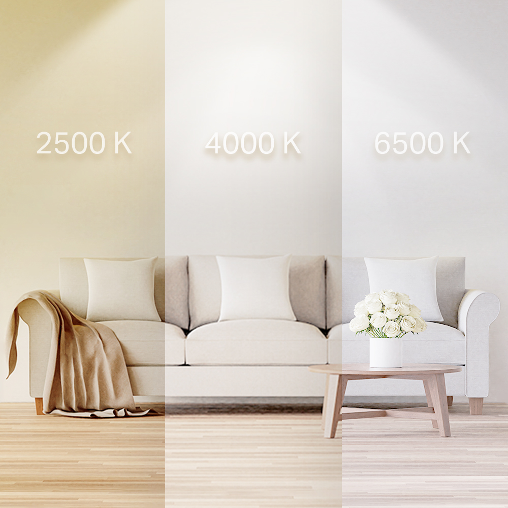 Kasa Smart Light Bulb, Multicolor | Kasa Smart