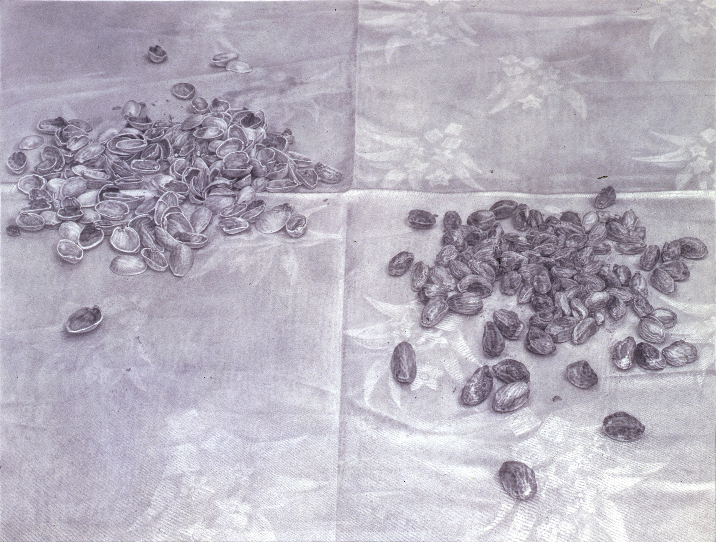 Nuts and Shells | Kemper Museum of Contemporary Art