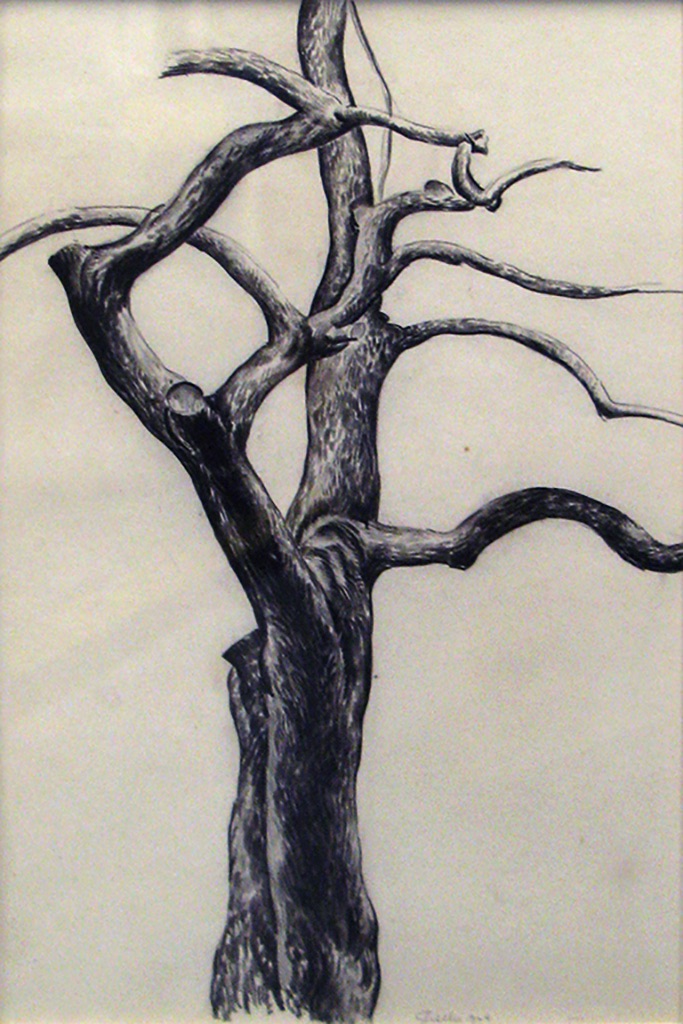 Tree Trunk # 2 | Kemper Museum of Contemporary Art