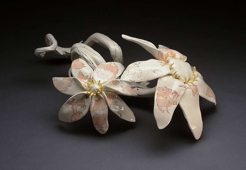 Fire Sponge Tedania Ignis | Kemper Museum of Contemporary Art